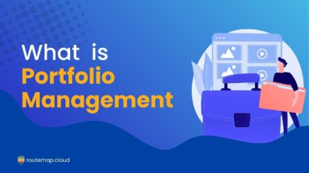 What is Portfolio Management? All you should know about